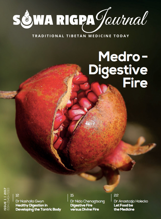 Medro-Digestive Fire - Pure Land Farms